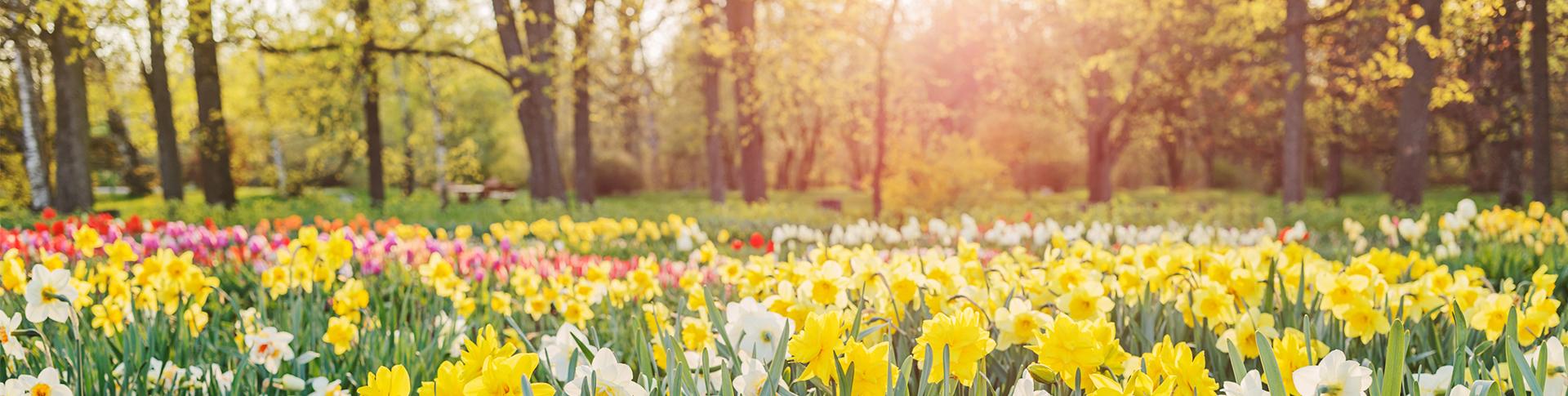 10 best spring walks | OS GetOutside
