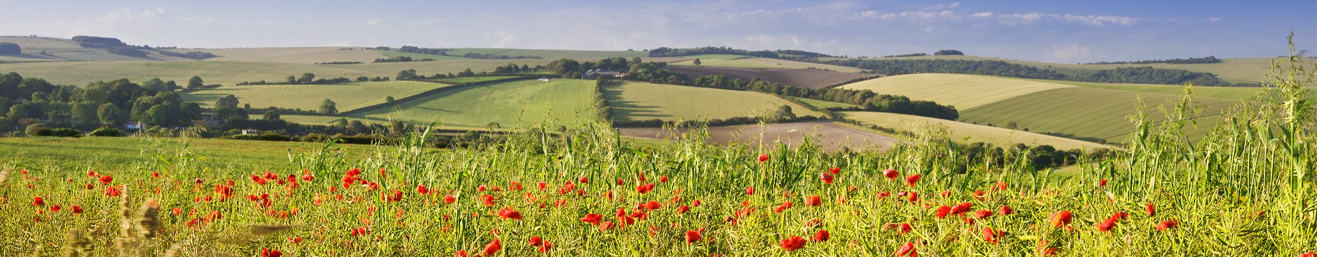 10 outstanding circular walks - OS GetOutside