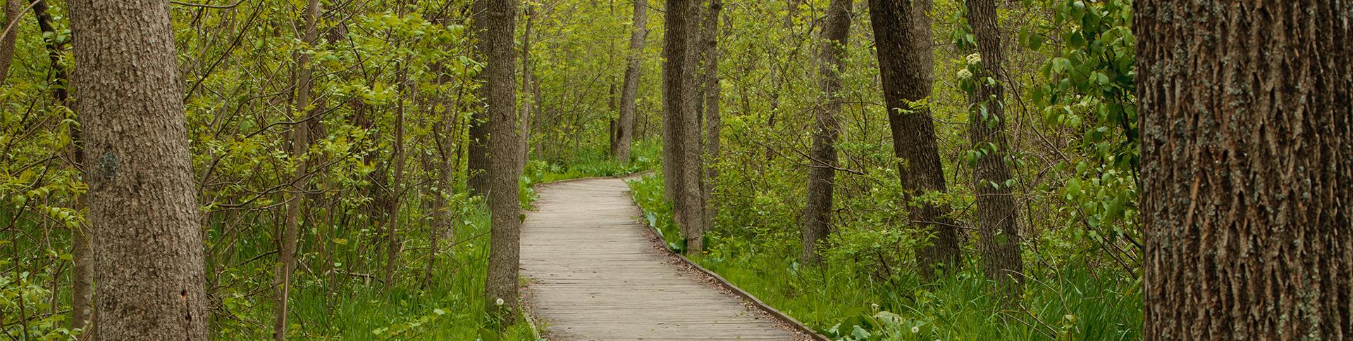 Find accessible routes near you | OS GetOutside